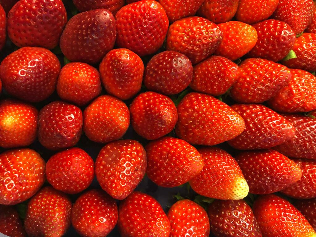 #ZeroWasteWeek – A Little Guide to Reducing Food Waste – Flower & White